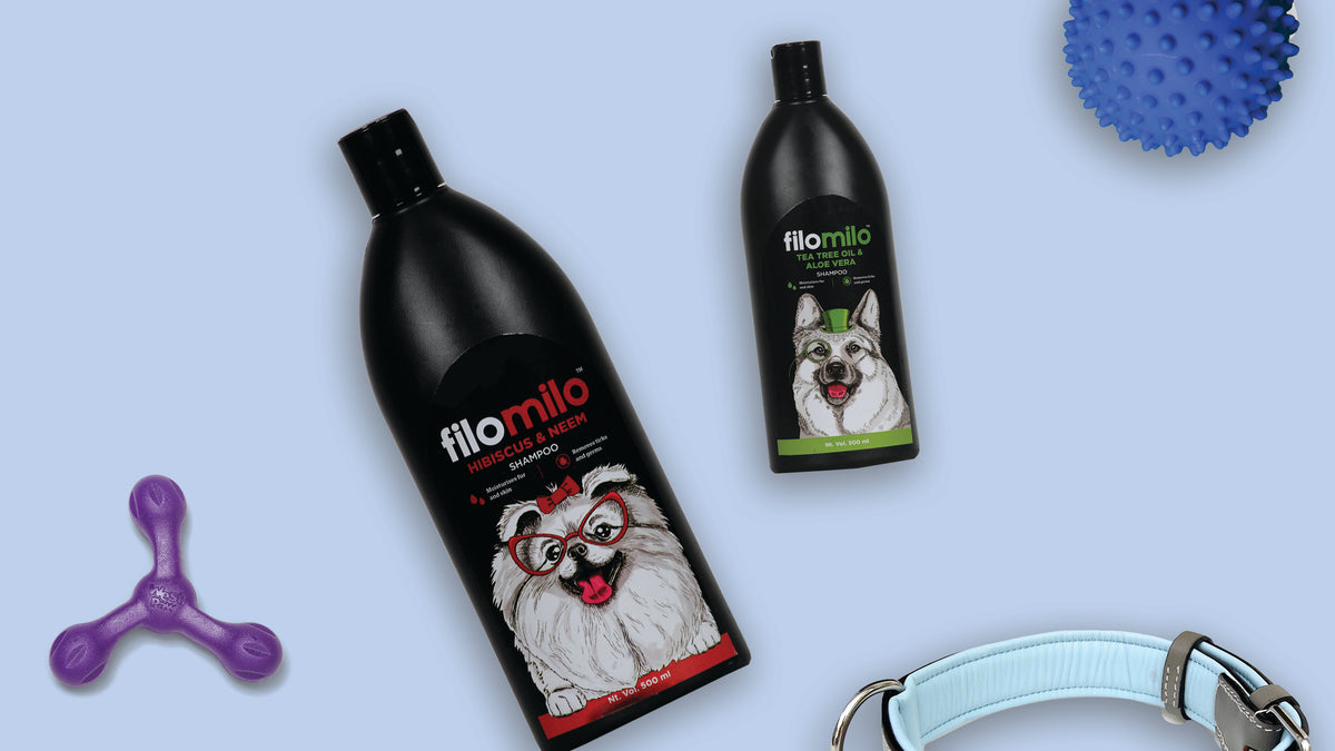TABPS Pets Bags Rs 4 cr Seed Funding From Angel Investors – Filomilo